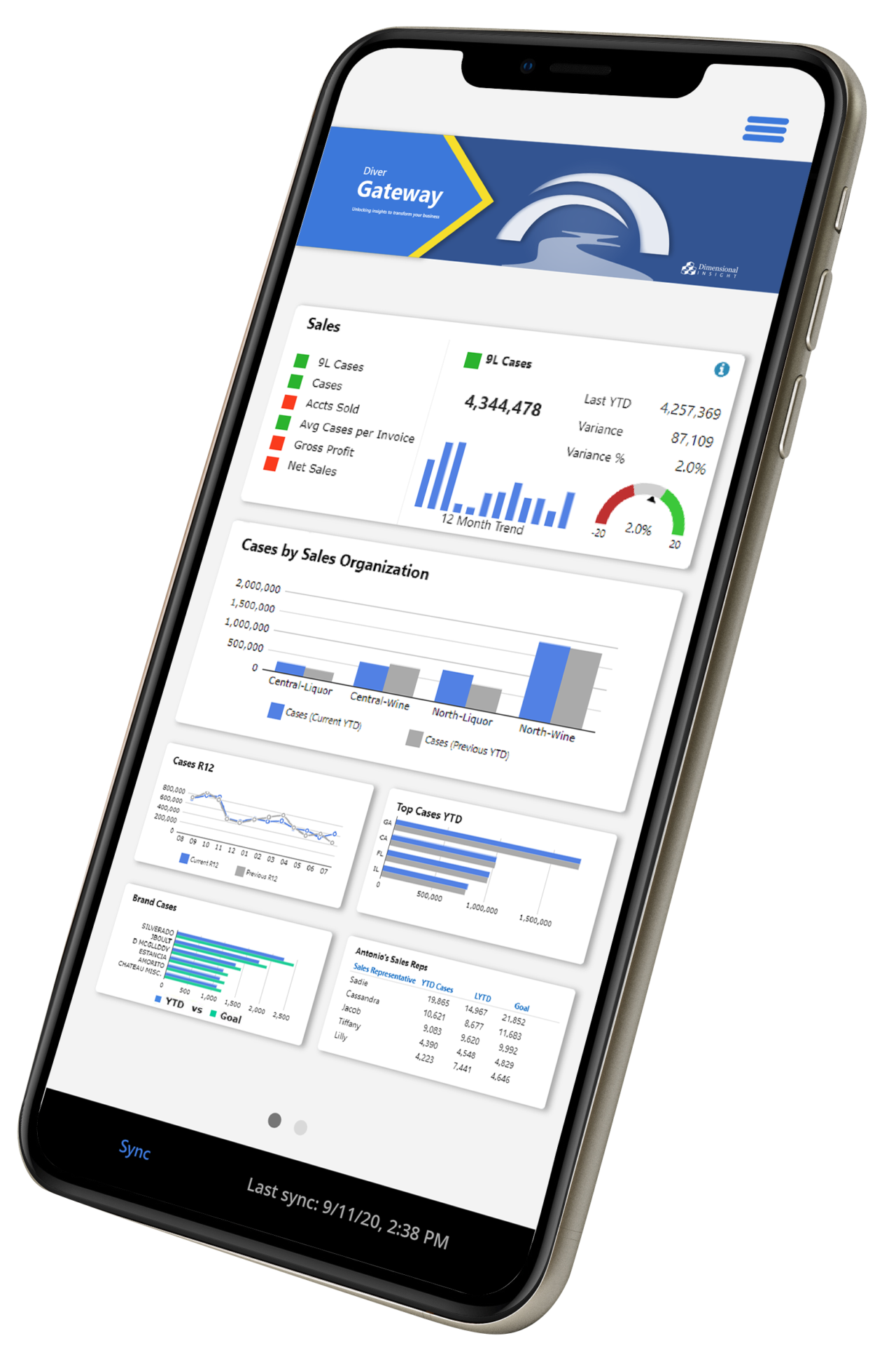 Healthcare Analytics Gateway software from Dimensional Insight